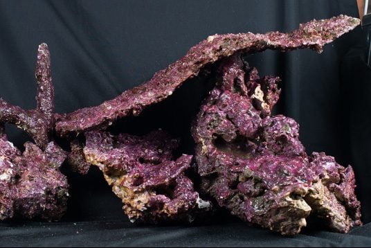 Live Rock - Reefs4Less.com