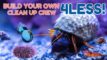 Build Your Own Clean Up Crew 4Less! - Reefs4Less.com